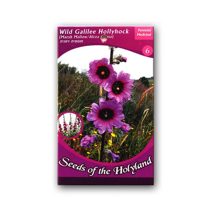 Flower Seeds of the Holyland - Yardenit Baptismal Site
